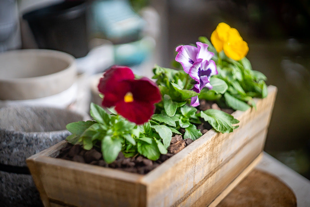 Rustic flower box – Little Forest S